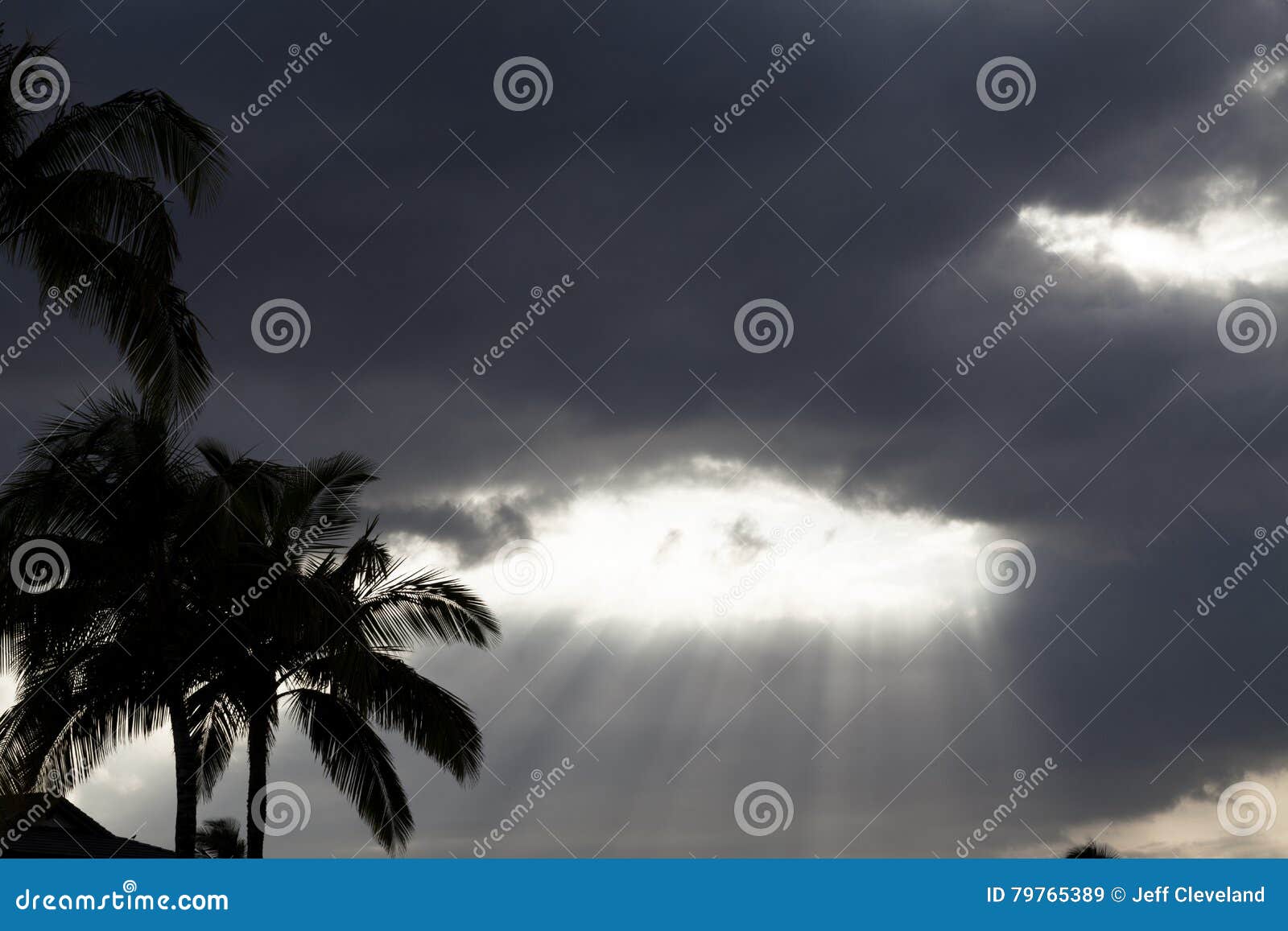 Light Rays Streaming Down from Storm Clouds with Palm Trees Stock Image ...