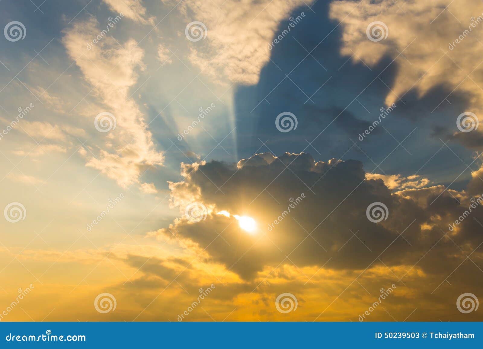 Light rays of sun stock image. Image of morning, inspiring - 50239503