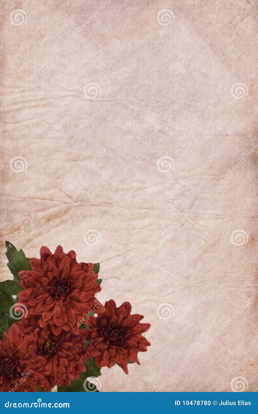 88,805 Light Red Paper Stock Photos - Free & Royalty-Free Stock Photos ...