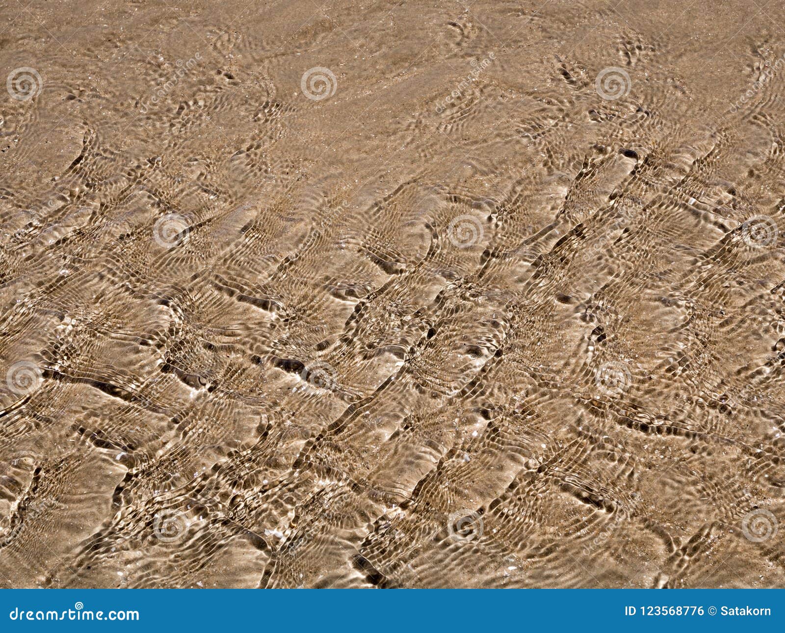 Light Reflection on Surface of Movement Sea on Sand Beach Stock Photo ...