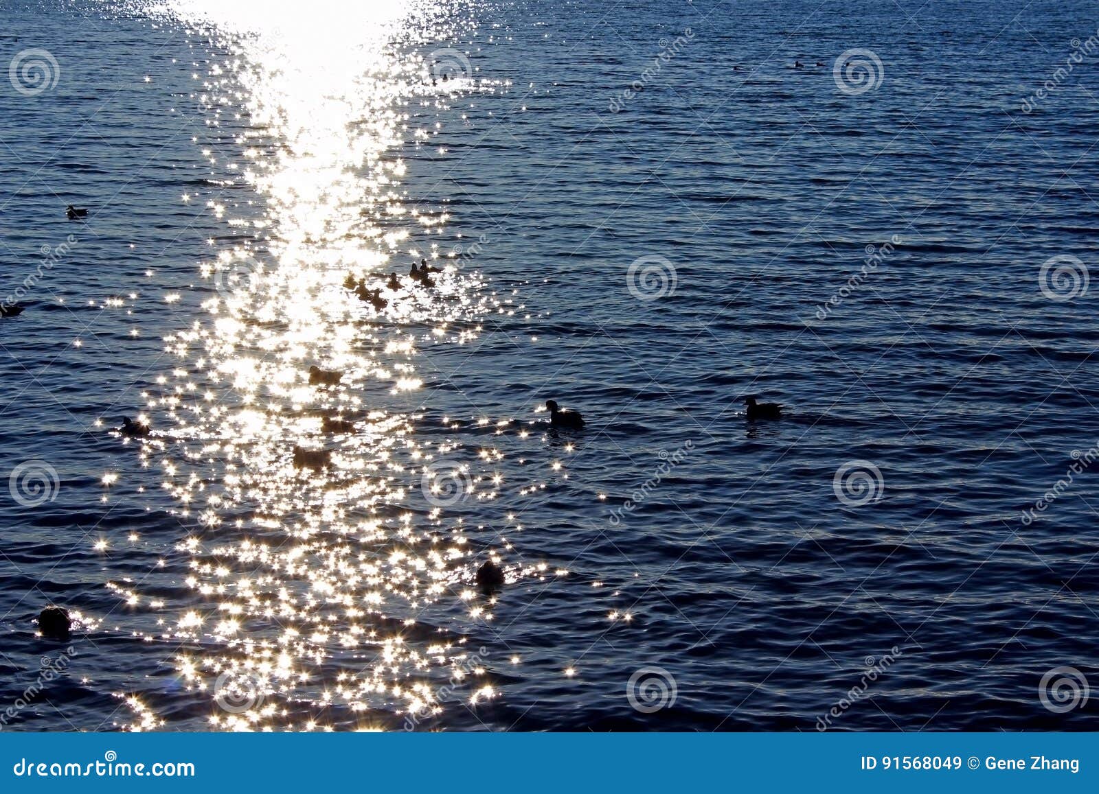 Light Reflection on the Surface of Ocean Stock Image - Image of ...