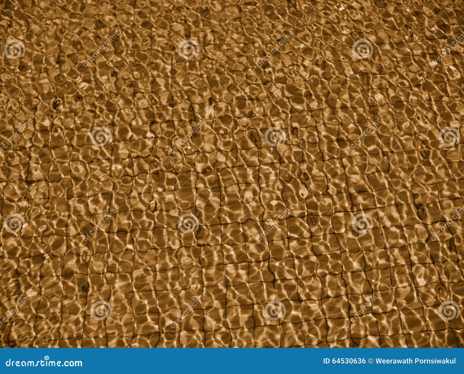 Light Reflection on Water Surface of Swimming Pool Stock Photo - Image ...