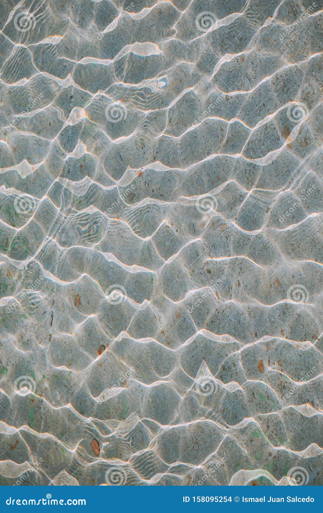 Light Reflection in the Water in the Swimming Pool Stock Photo - Image ...