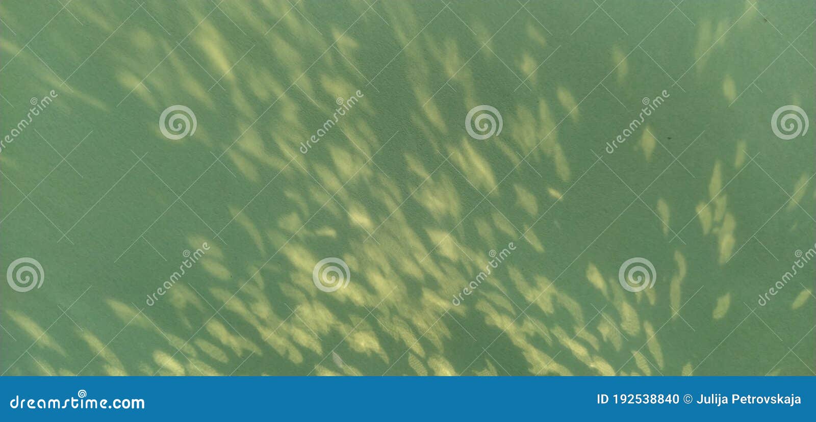 Light Reflections from Gold Sequins on Rough Light Green Paper ...