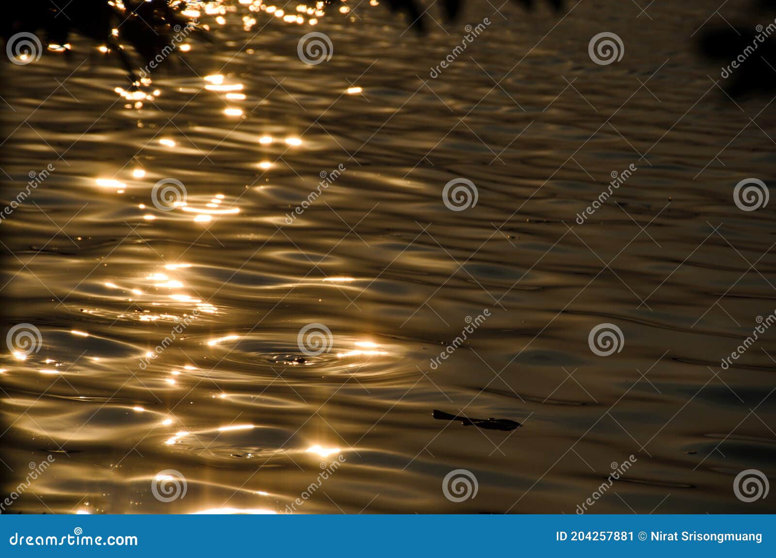 Light Reflections on the Water Surface in the Evening Stock Image ...