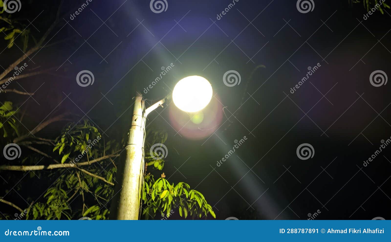 Light Refraction Beautiful Street Lamp Stock Image - Image of leaf ...