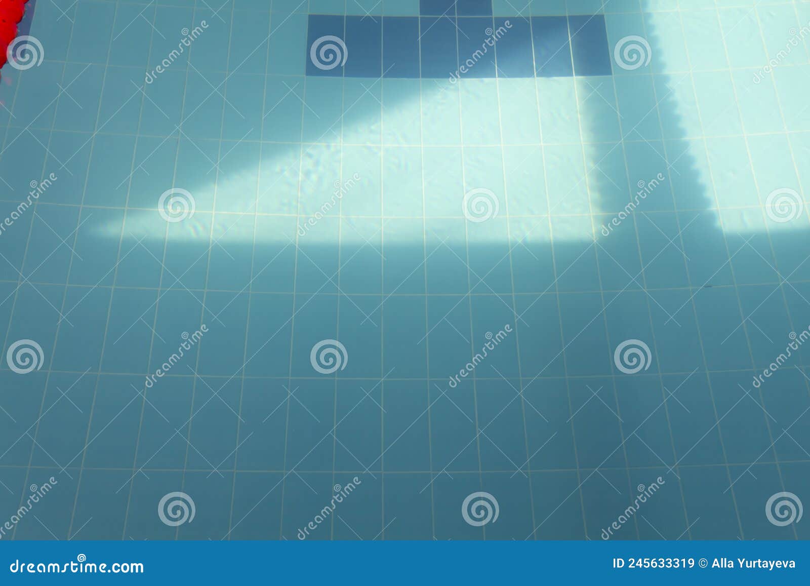 The Light of the Rembrandt Triangle in the Pool with Clear Water in the ...