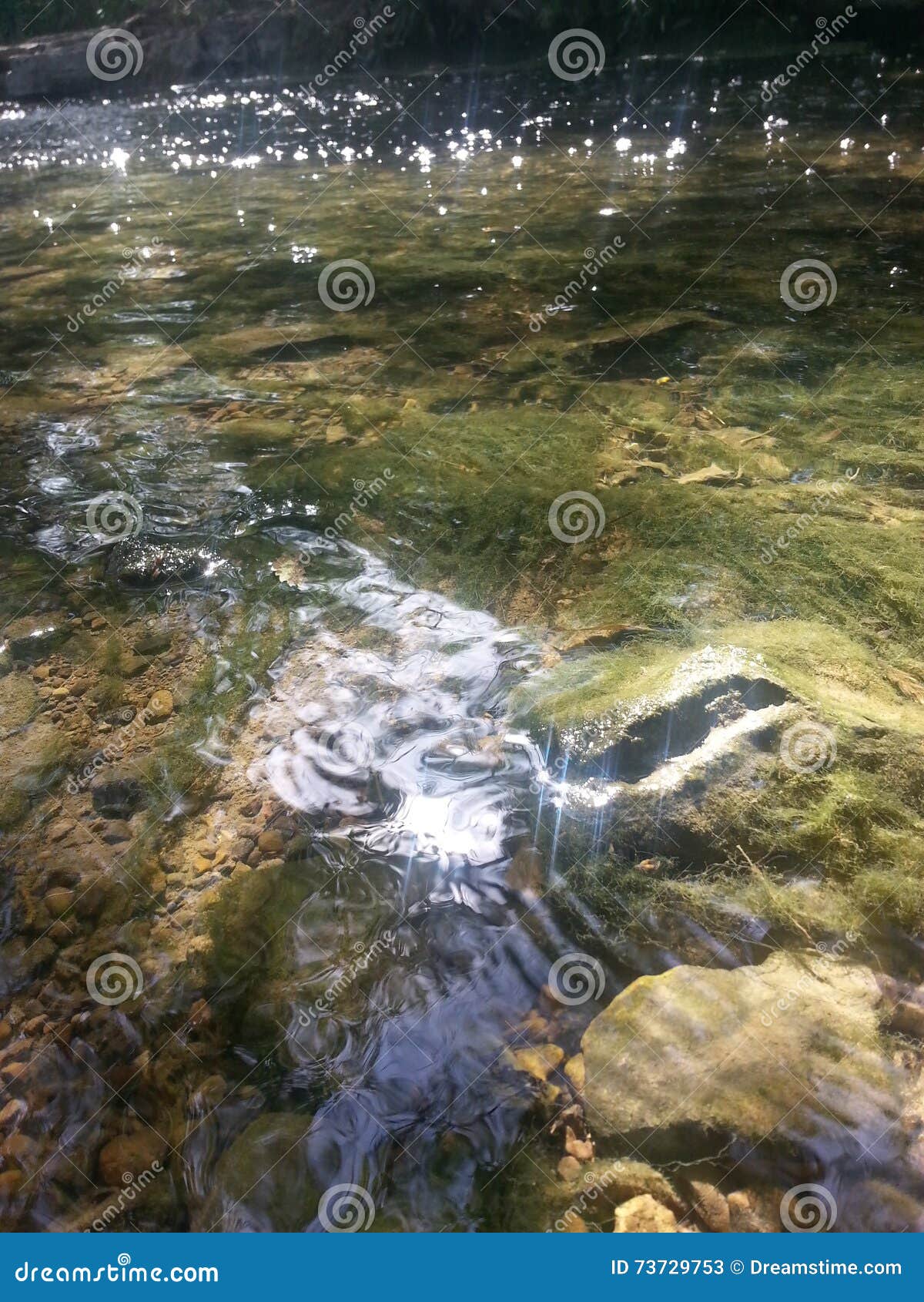 Light on River bed stock image. Image of water, light - 73729753