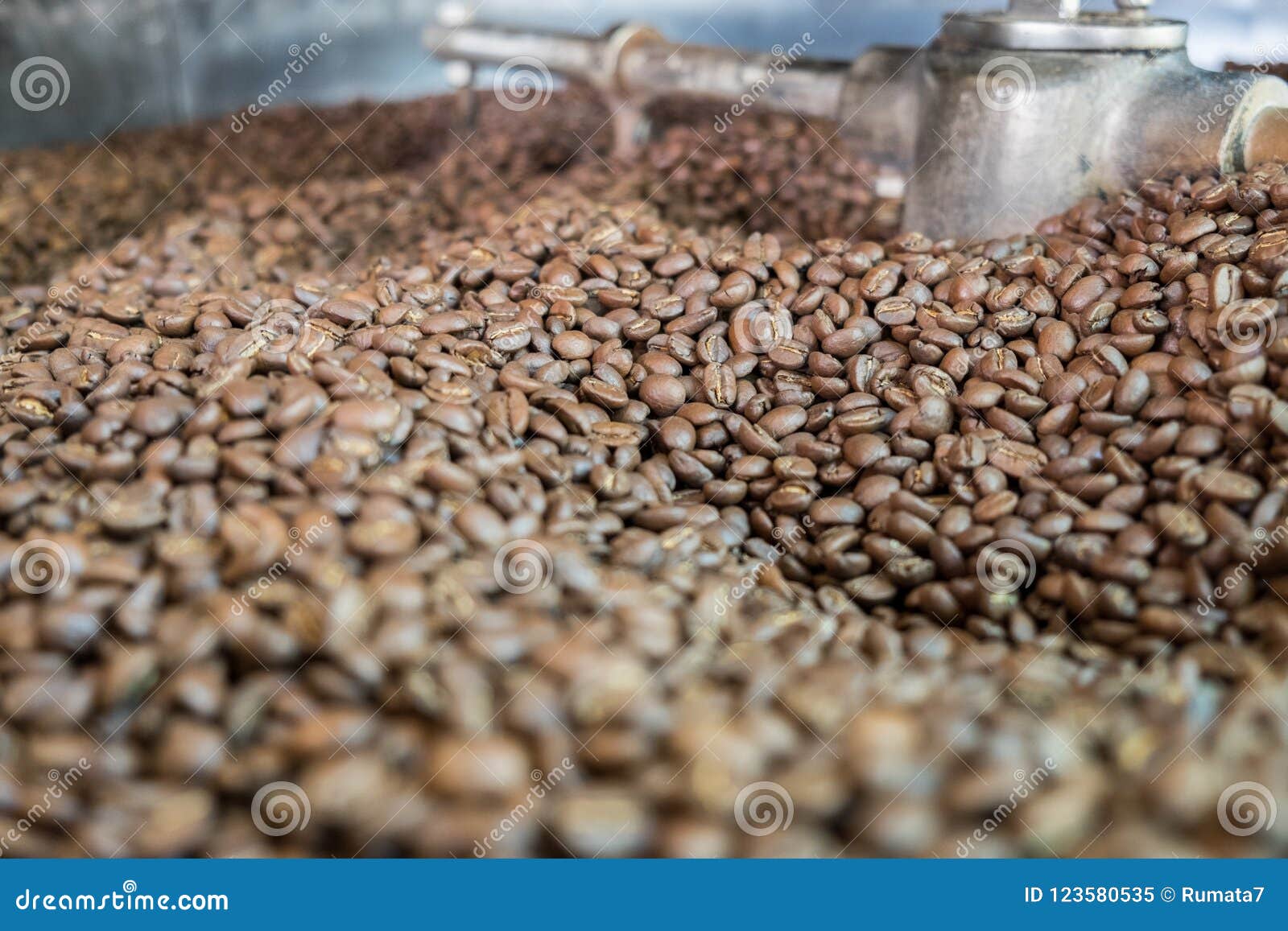 Light Roasted Coffee Beans in a Coffee Roaster Stock Image - Image of ...