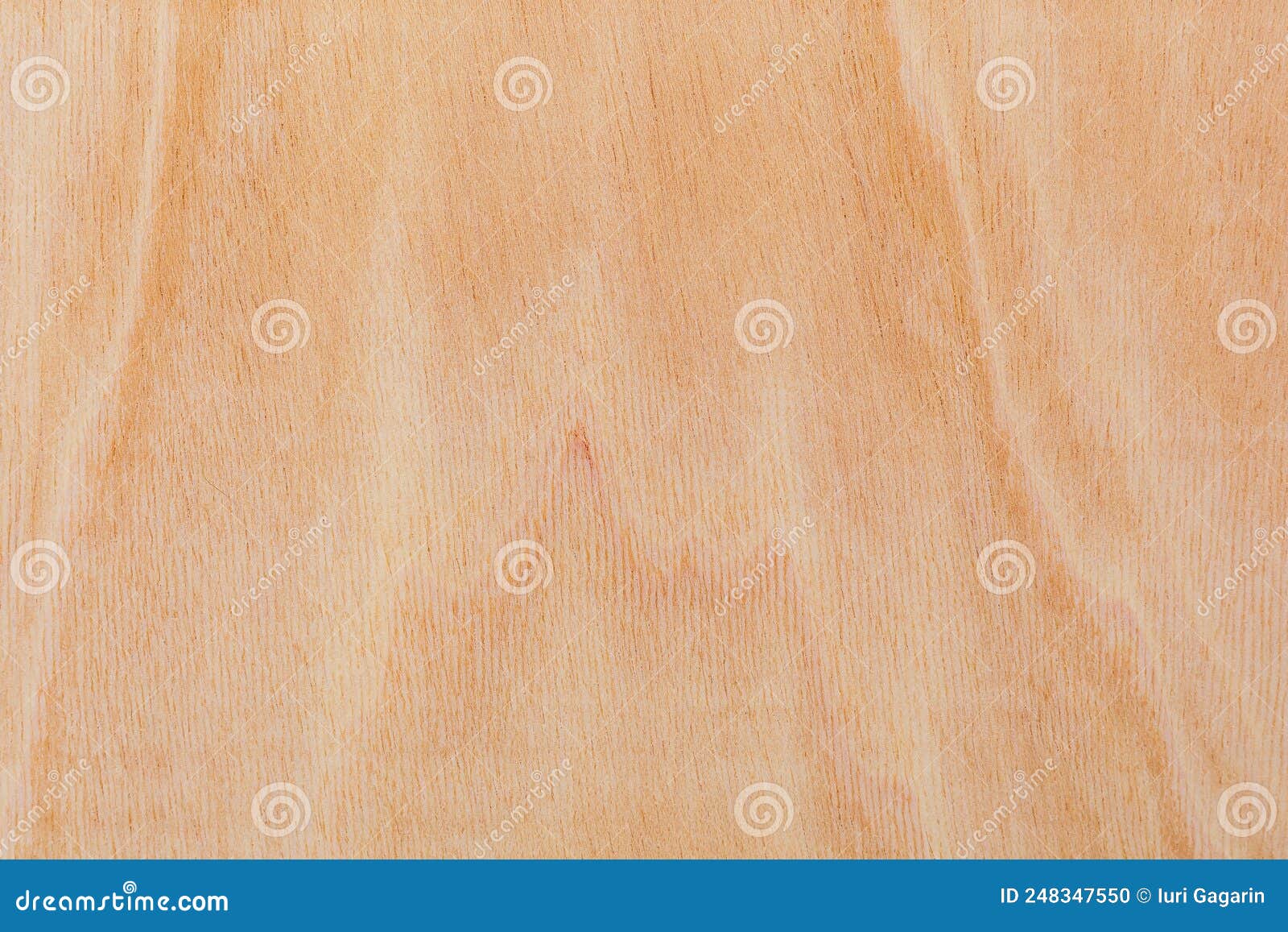 Light Rough Textured Cut Surface of an African Tree. Wood Background or ...