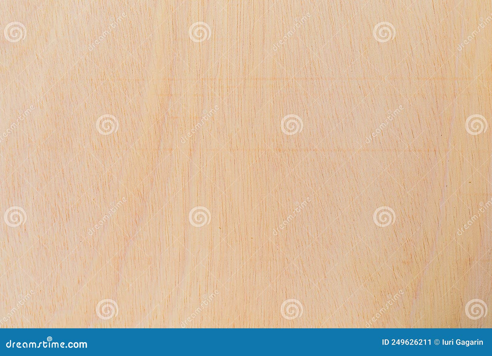 Light Rough Textured Cut Surface of an African Tree. Wood Background or ...