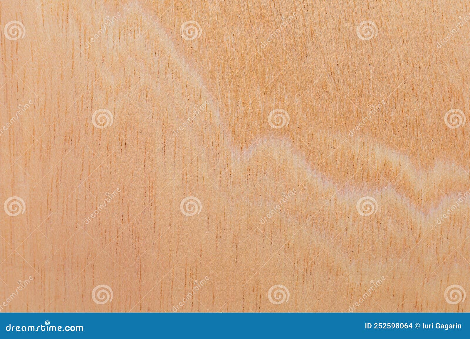 Light Rough Textured Cut Surface of an African Tree. Wood Background or ...