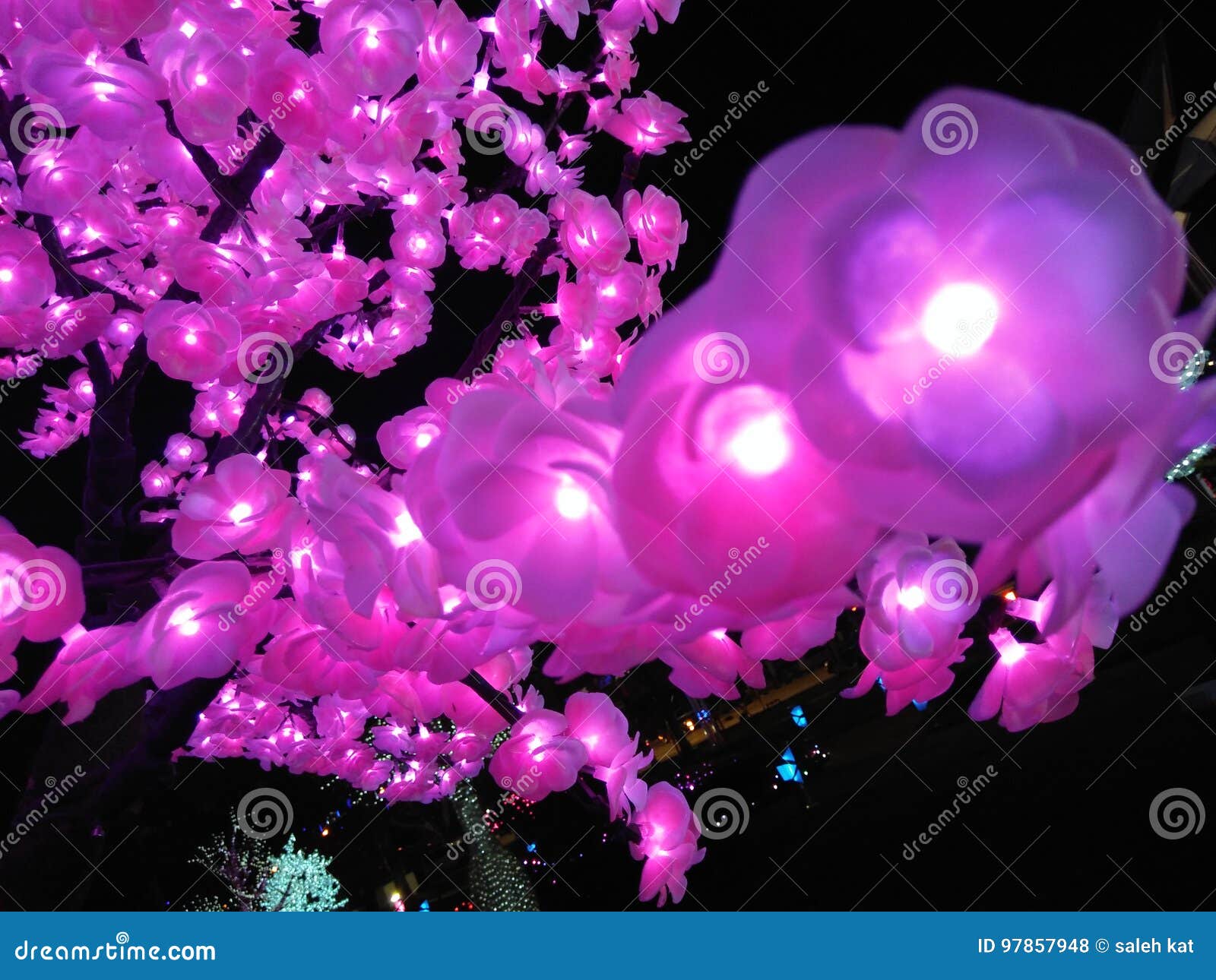 Light sakura stock photo. Image of sakura, light, pink - 97857948