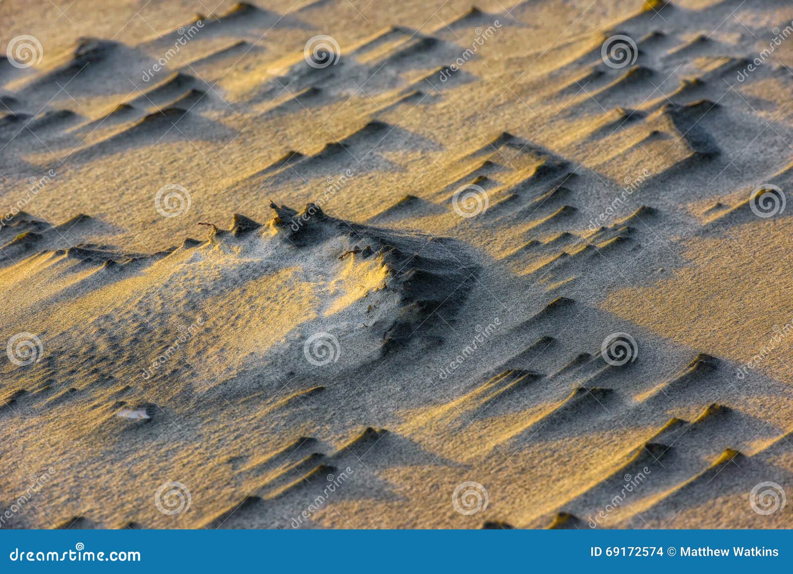 Light on the sand stock photo. Image of ripples, beach - 69172574