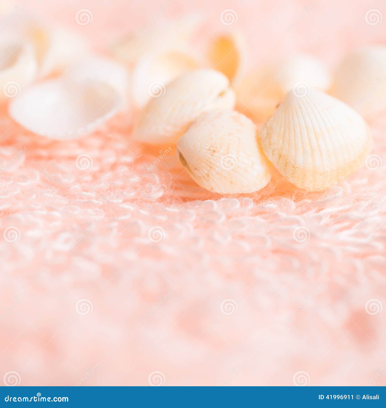 Light Sea Shells on Soft Pink Terry Texture Stock Image - Image of calm ...