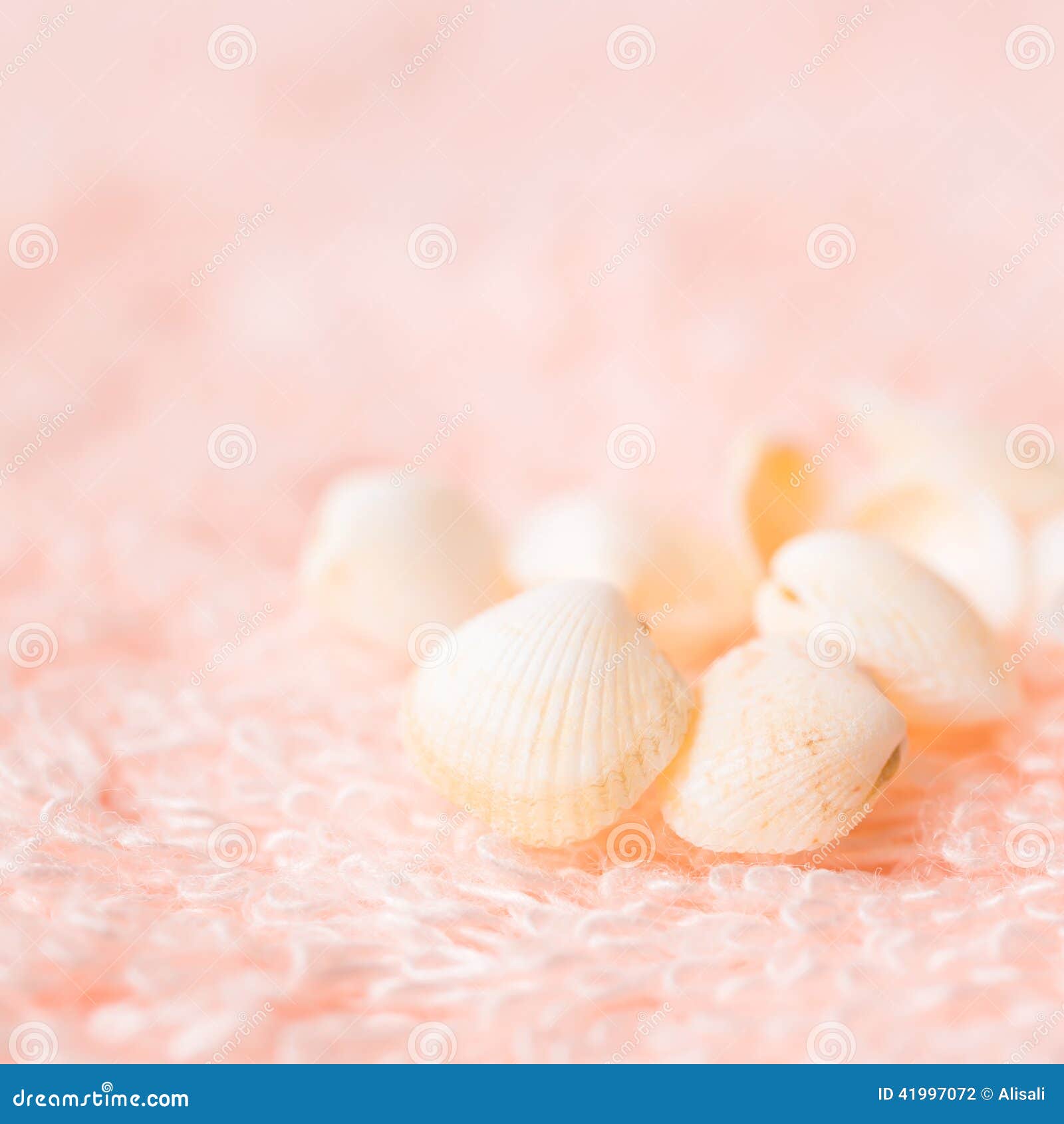 Light Sea Shells on Soft Pink Terry Texture Stock Photo - Image of ...