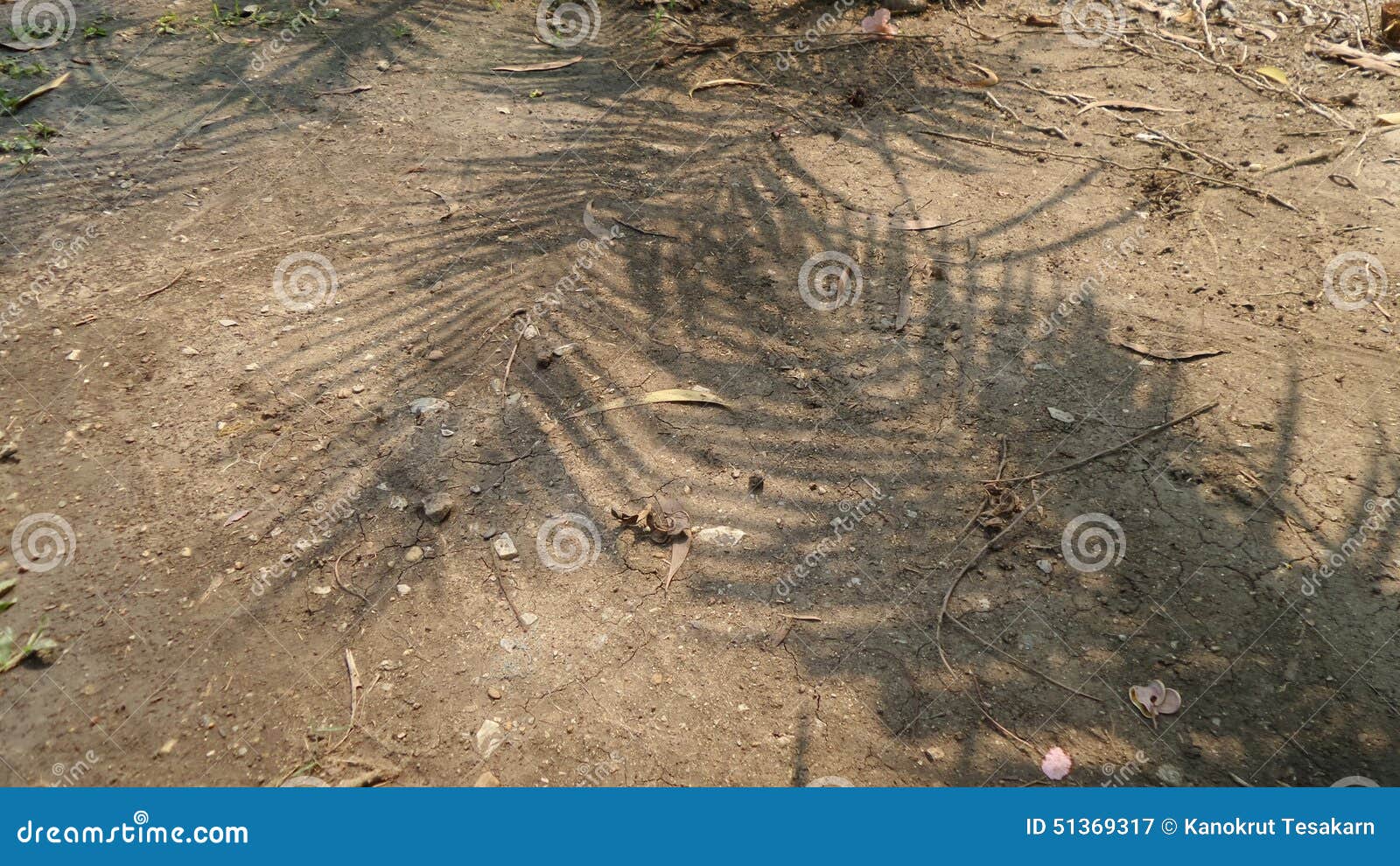 Light and shade on ground stock image. Image of geology - 51369317