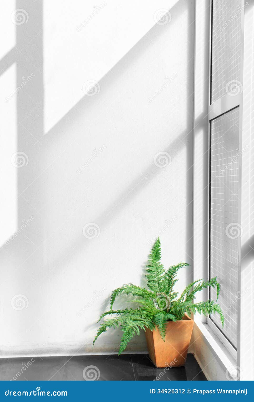 Light Shade on Indoor White Wall Stock Photo - Image of inside, indoor ...