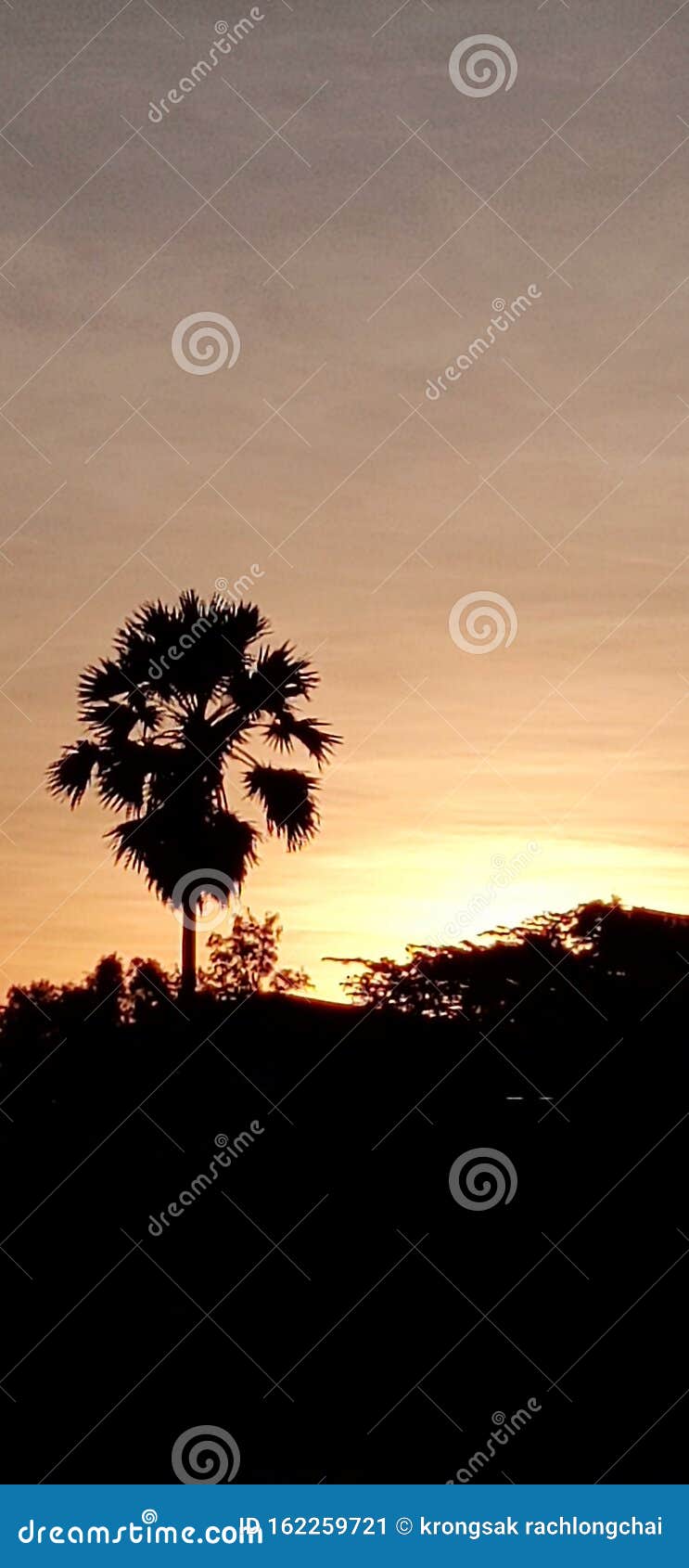 Light and Shadow and Bright Morning Stock Image - Image of light ...