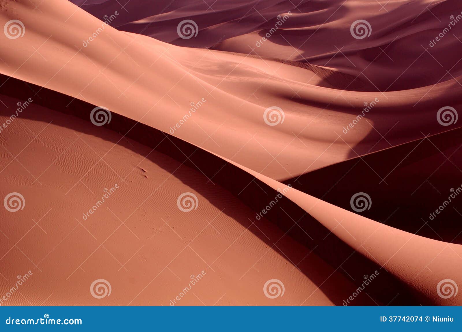 Light and Shadow in the Desert Stock Photo - Image of xinjiang, desert ...