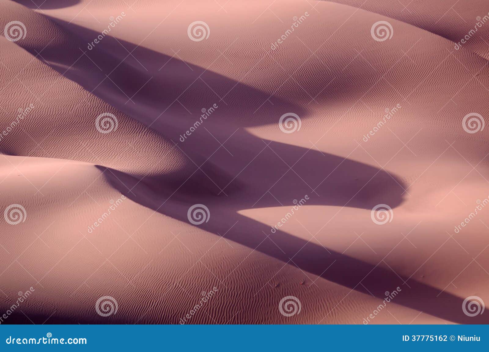 Light and Shadow in the Desert Stock Photo - Image of powe, footprint ...