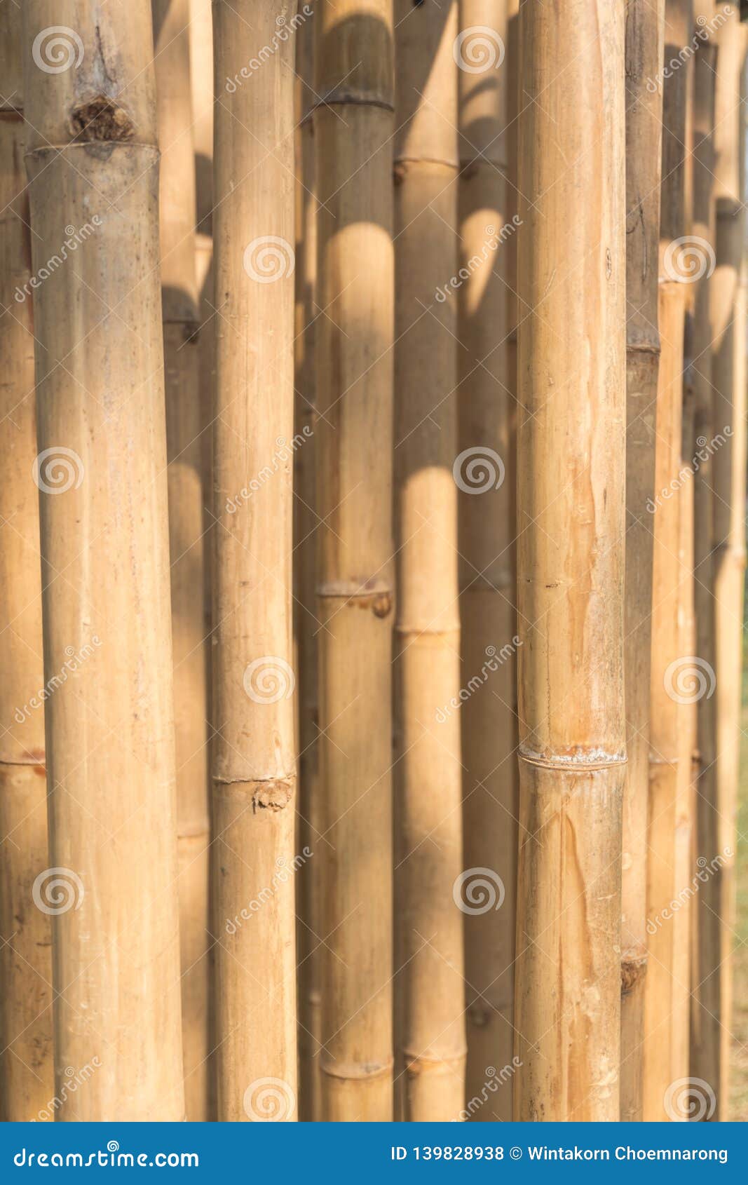 Light and Shadow on Dry Bamboo Texture Exactly Vertical Straight Fence ...
