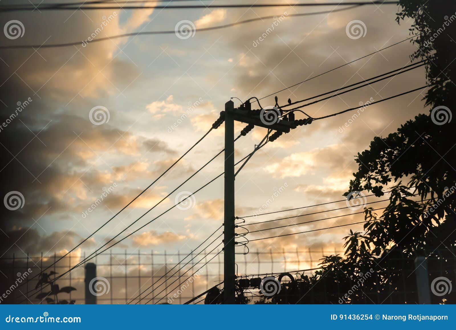 Light Shadow Electric Pole in Sunset Stock Photo - Image of forest ...