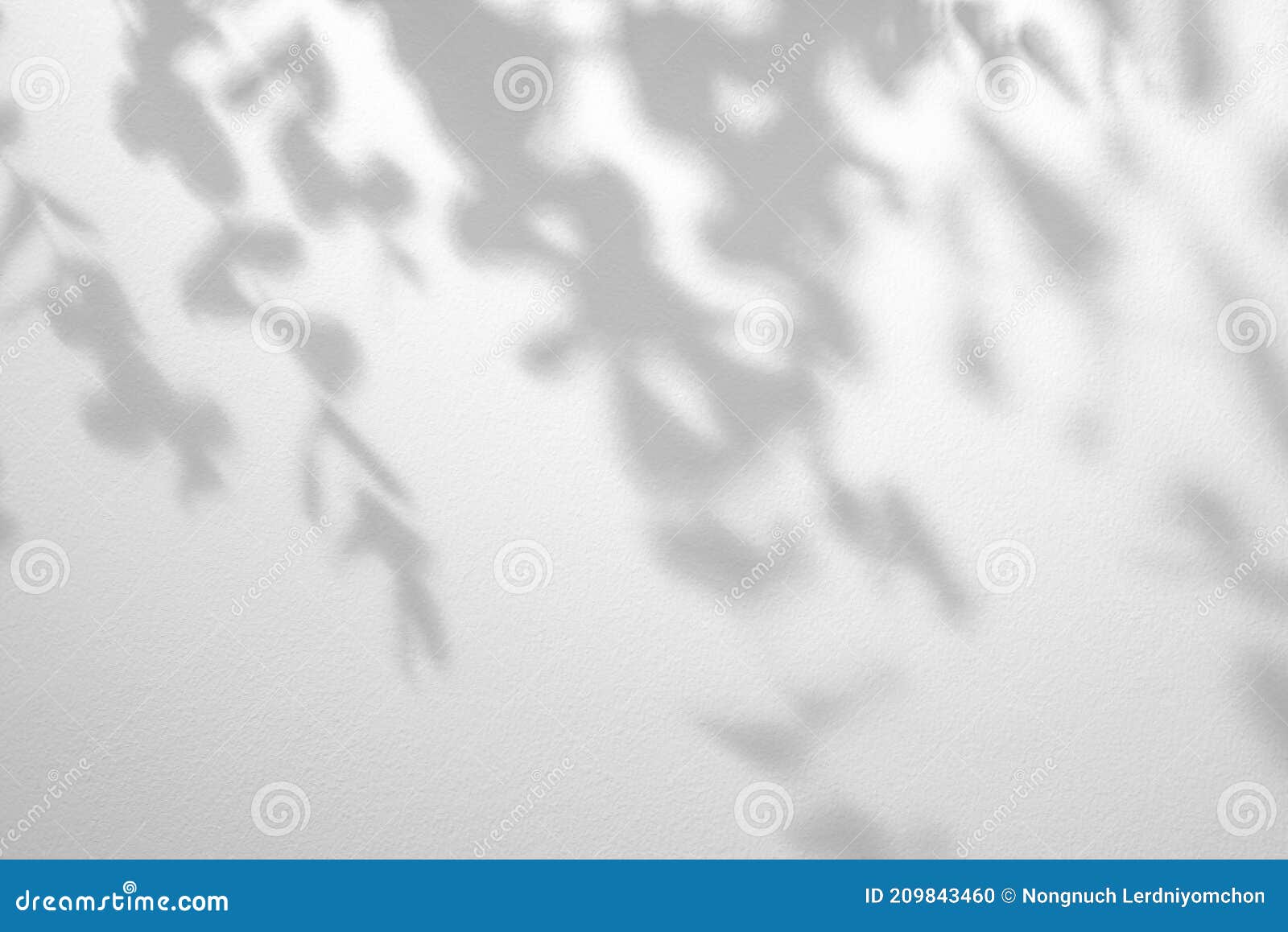Light and Shadow Eucalyptus Branches on Grunge White Wall Concrete Background.Silhouette ...