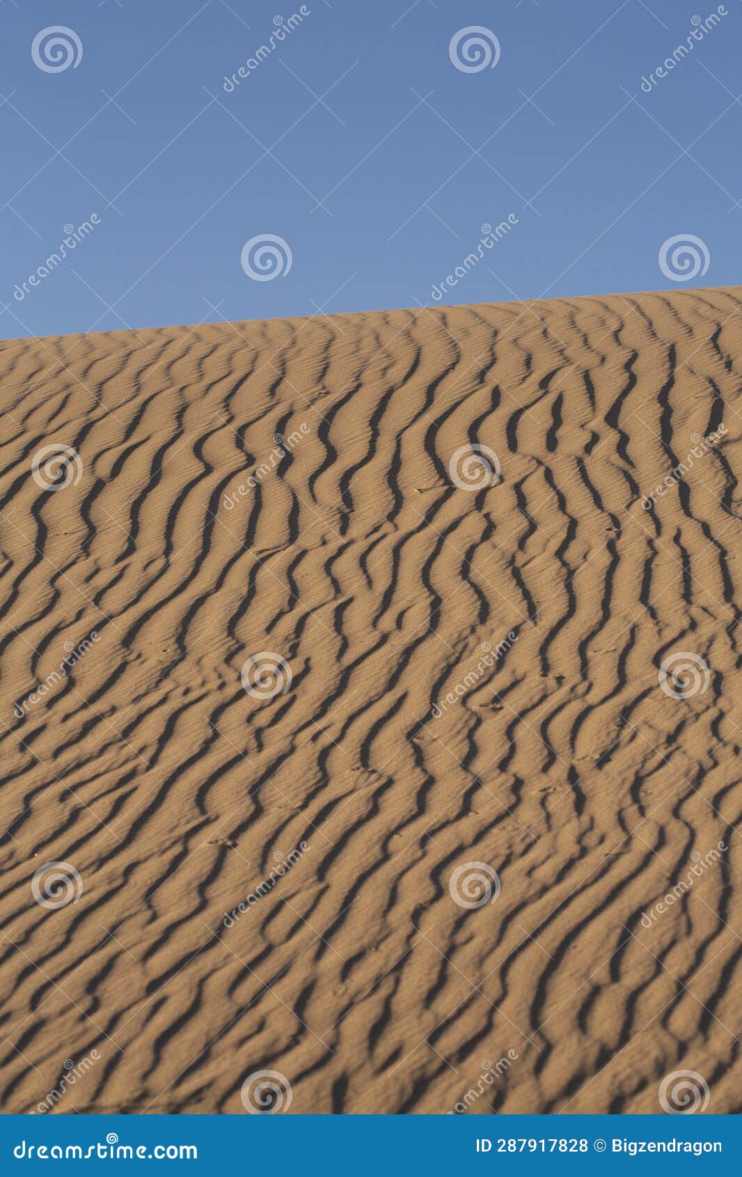 Sharply Contrasting Patterns of Sand Waves with Light and Shadow Across ...