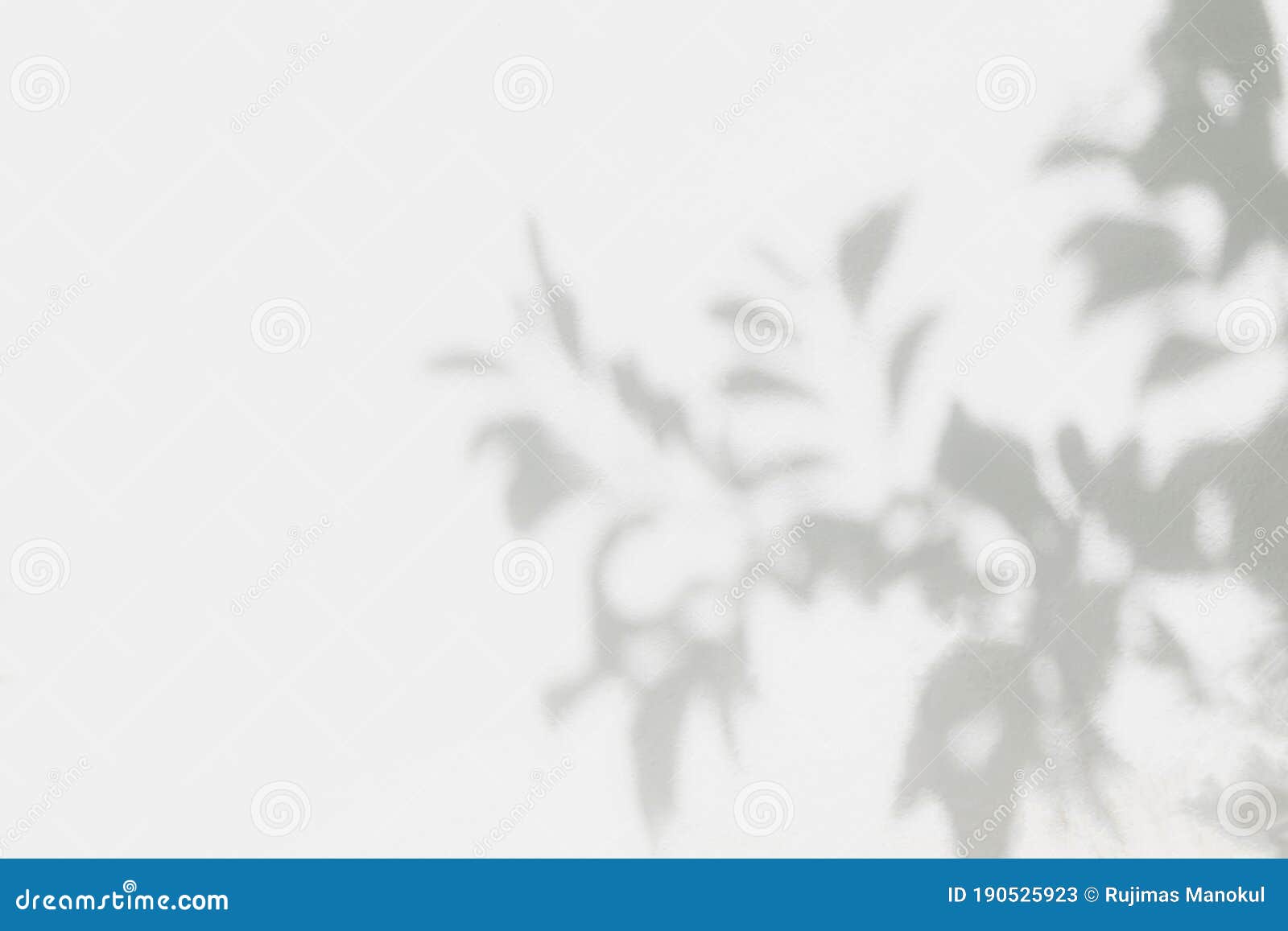 Light Shadow of Leaf and Tree Branch Background. Natural Leaves Shadows ...