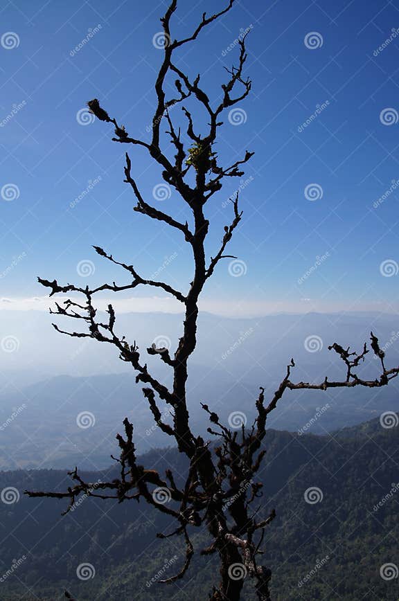 Light and Shadow in the Morning Blue Sky Stock Image - Image of nature ...