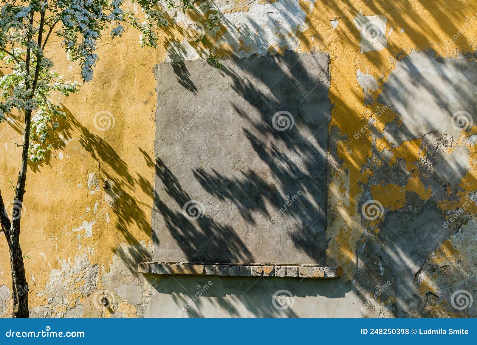 Light and Shadow on the Old Spotted Wall Stock Photo - Image of ...