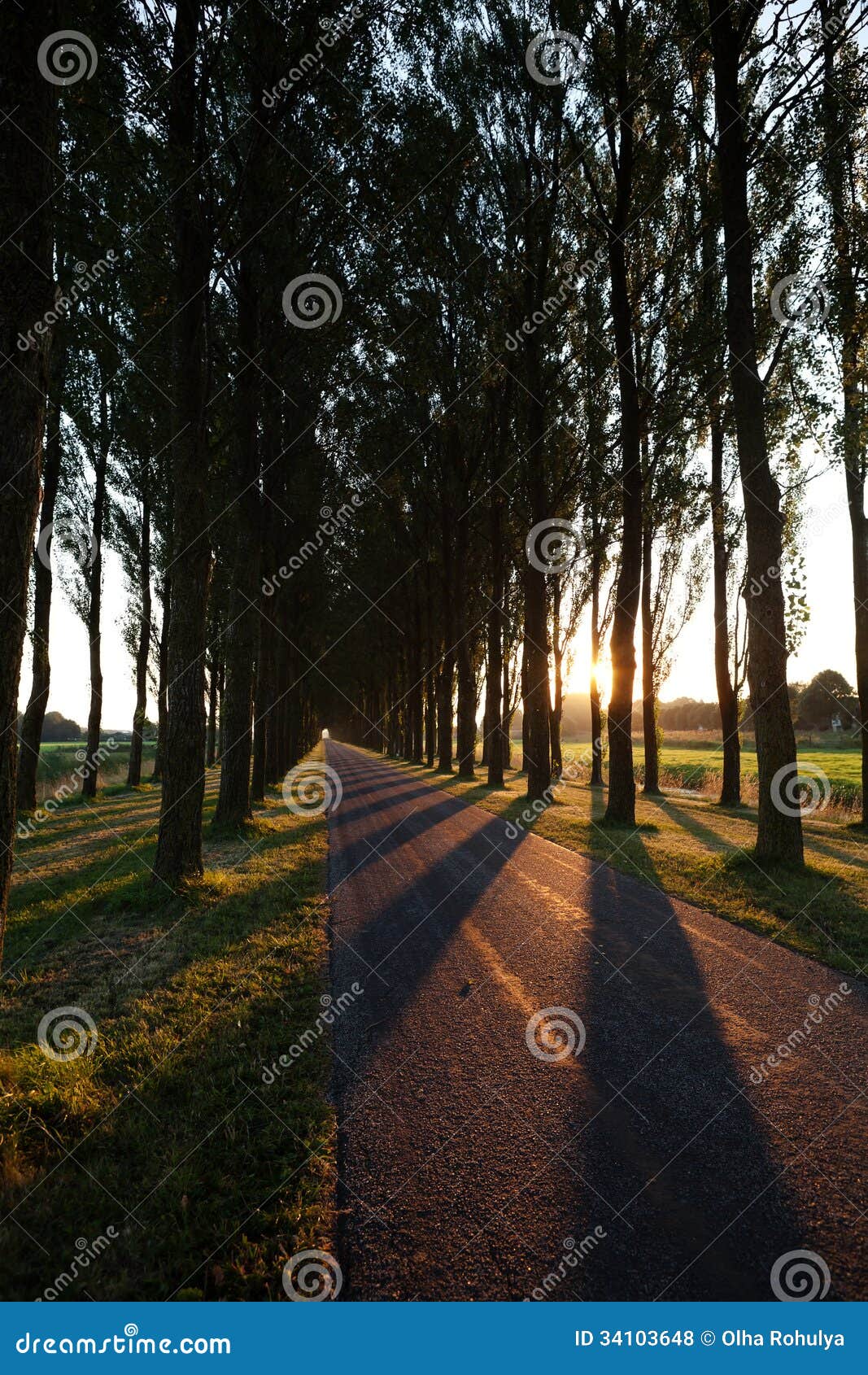 Light and Shadow Pattern on Bicycle Road Stock Photo - Image of people ...