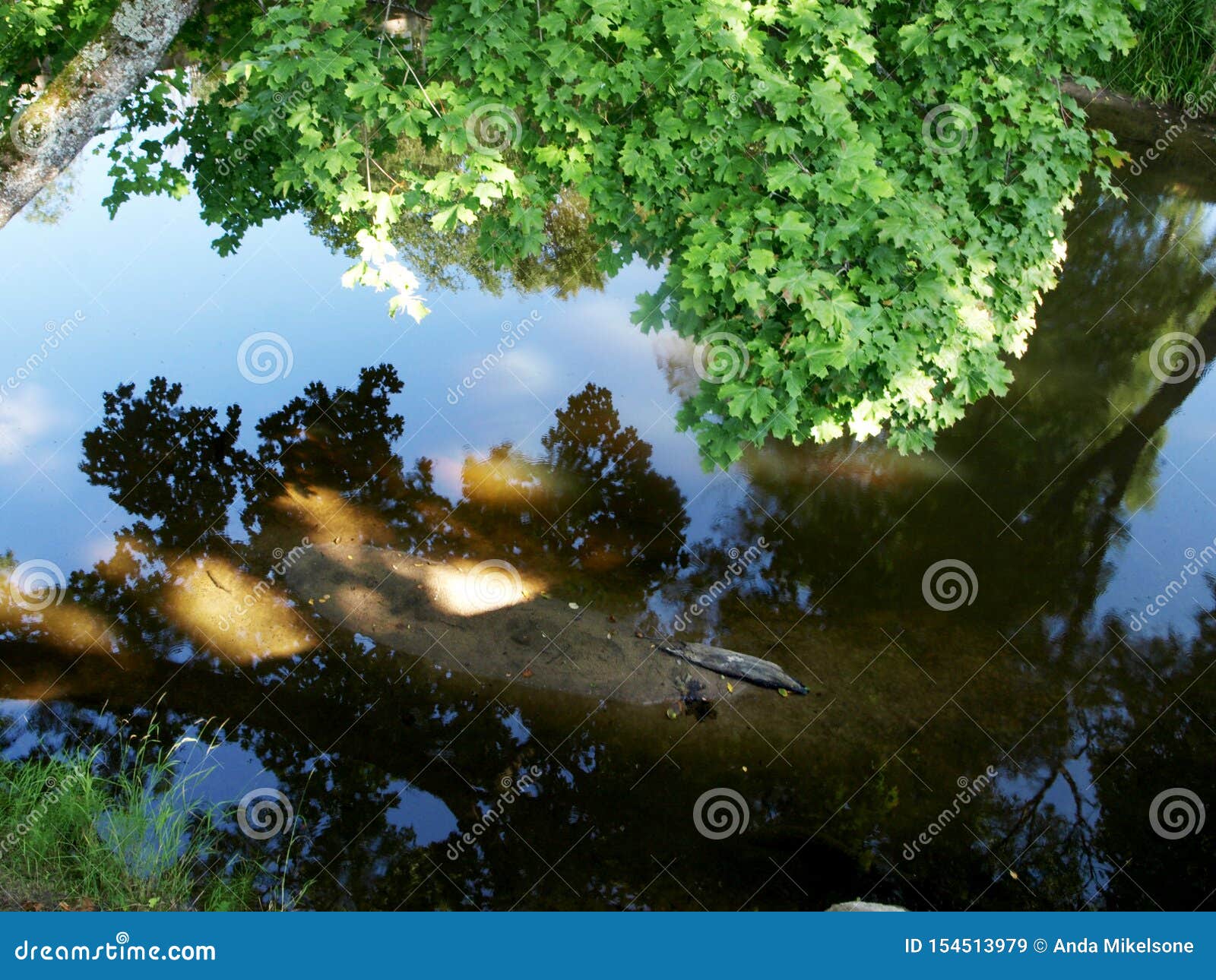 Light and Shadow Reflections in River Water Stock Image - Image of ...