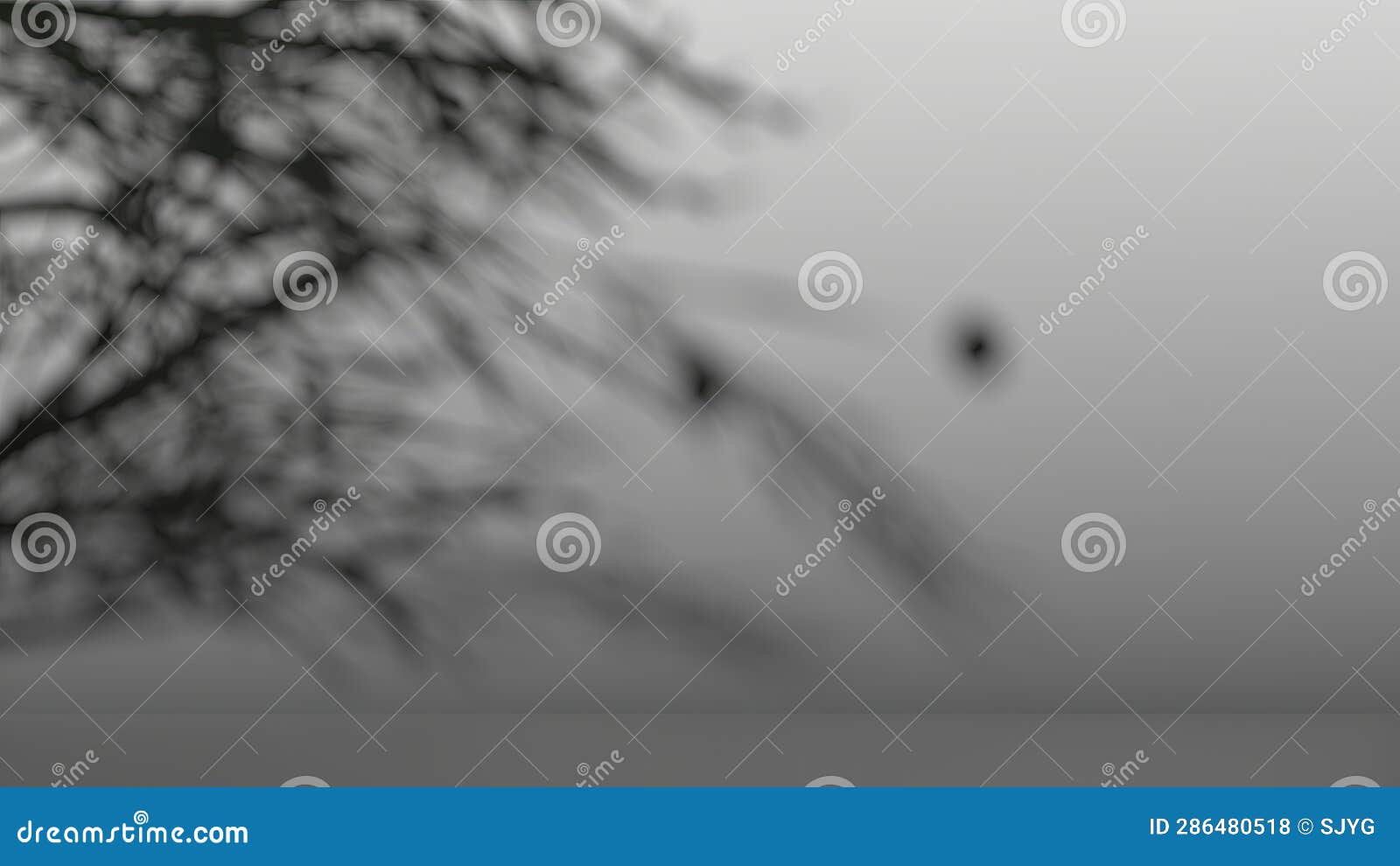 Light And Shadow In The Room, Lush Leaves, GOBO Light, Gray And Black ...