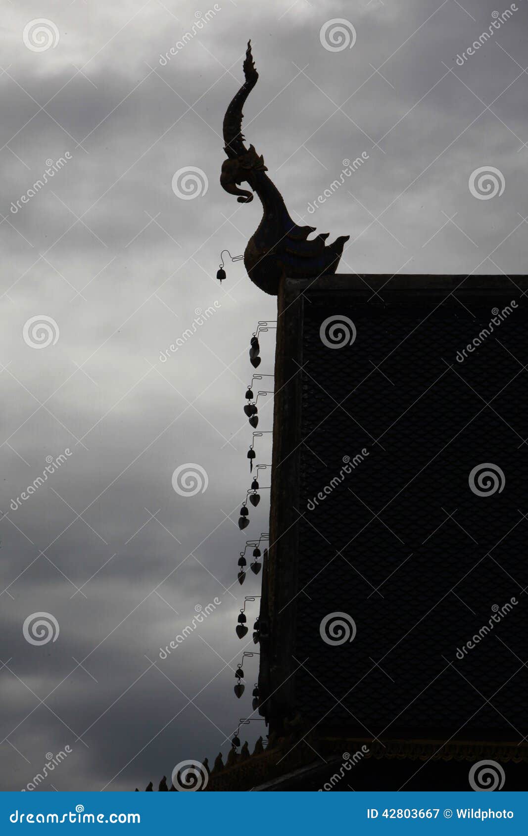 Light and shadow stock image. Image of white, black, light - 42803667