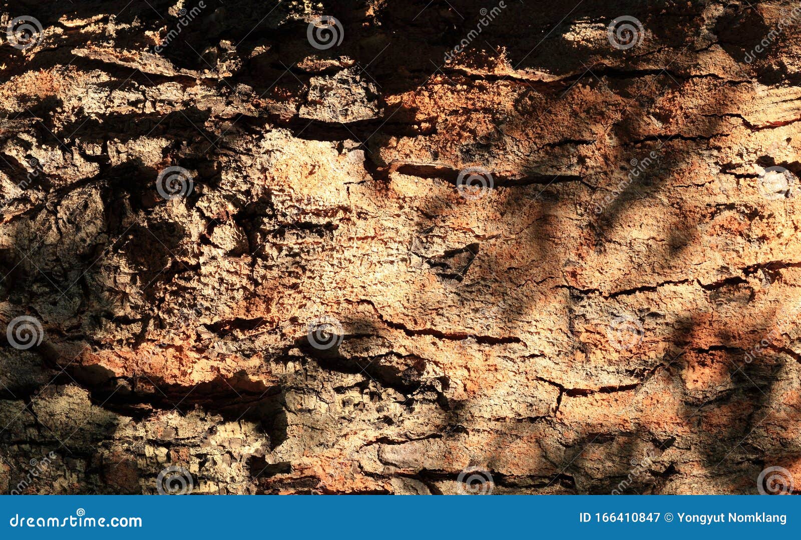 Abstract Background and Backdrop [tree Bark Texture] Stock Image ...