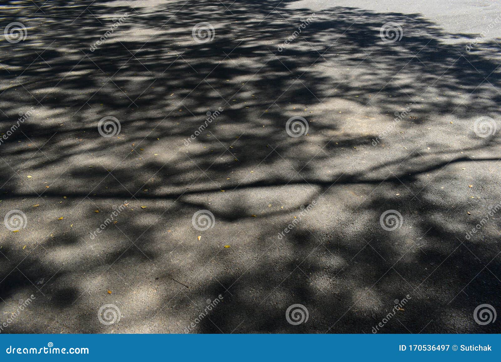 Light and Shadow of Tree on Black Asphalt Road Stock Image - Image of ...