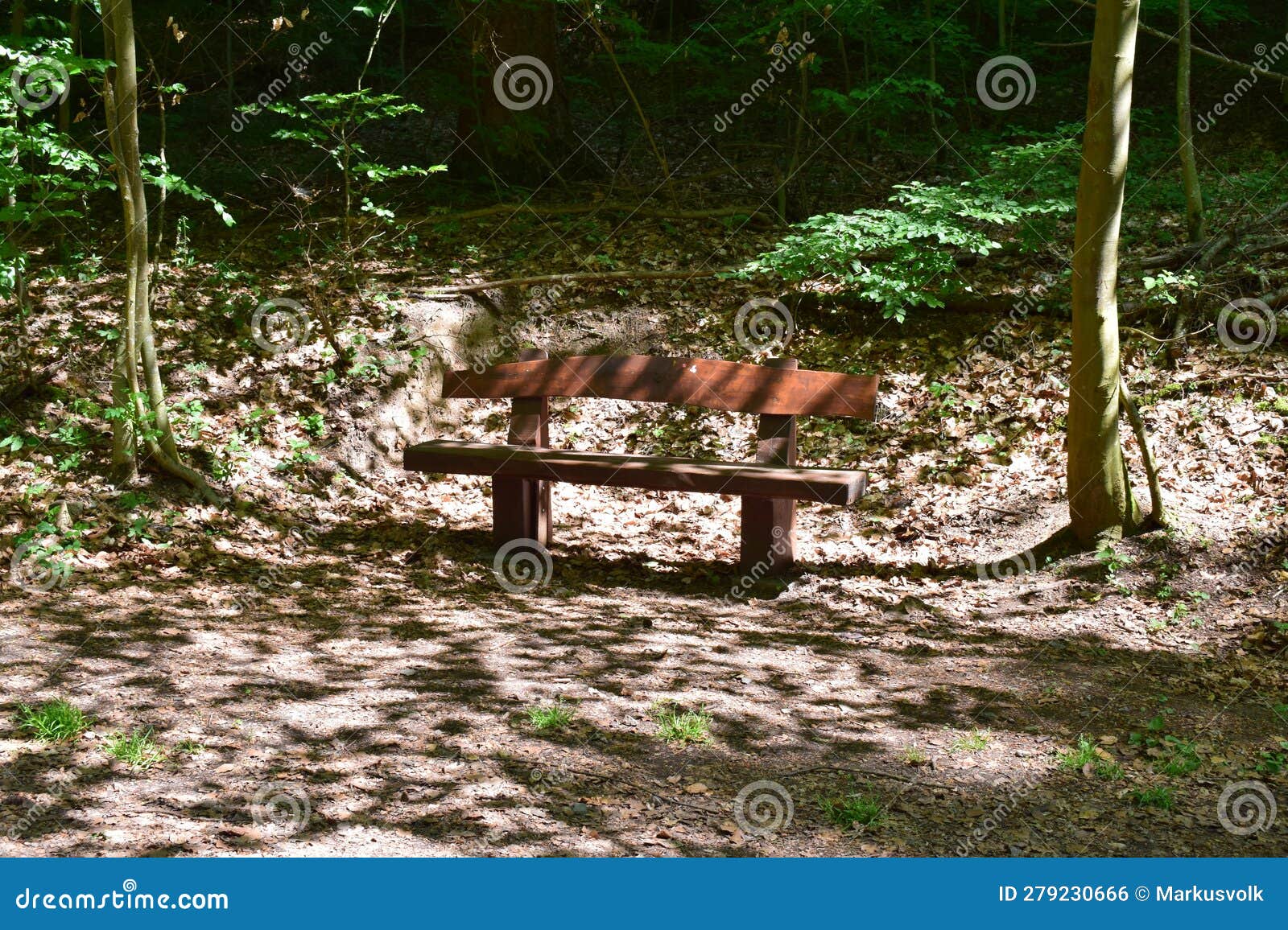 Park Bench in the Forest stock photo. Image of light - 279230666