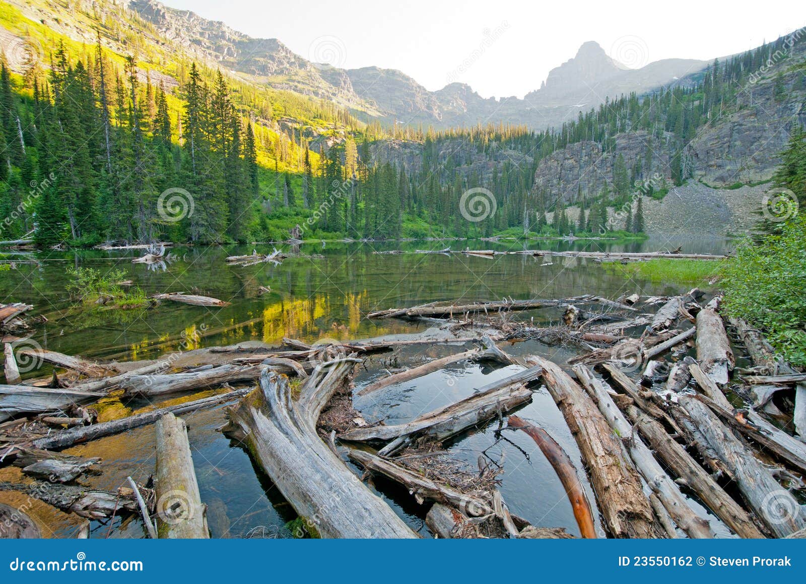 LIght and Shadows of Early Morning Stock Photo - Image of logs ...
