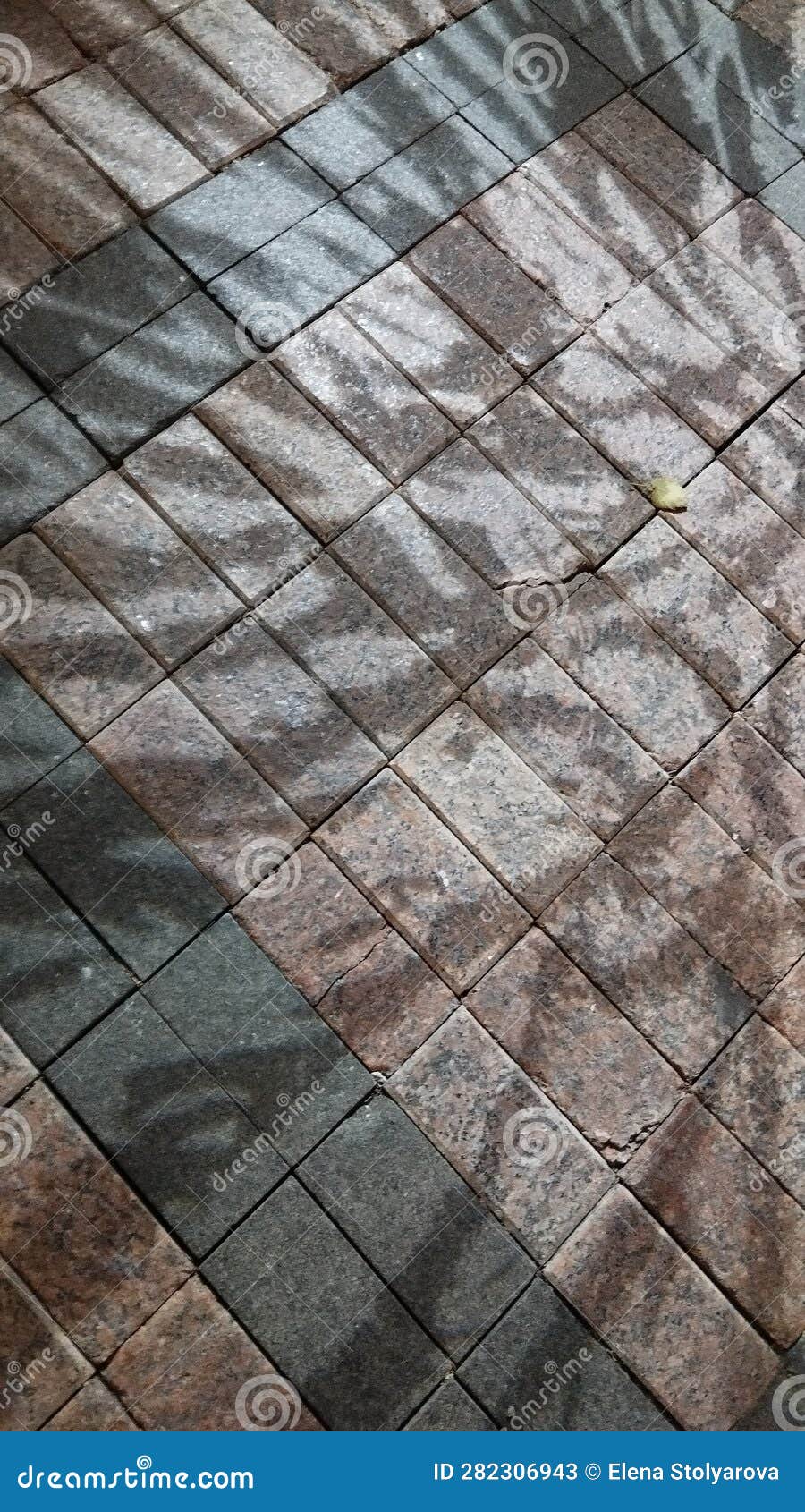 Light and Shadows on the Tiles Stock Image - Image of wall, asphalt ...