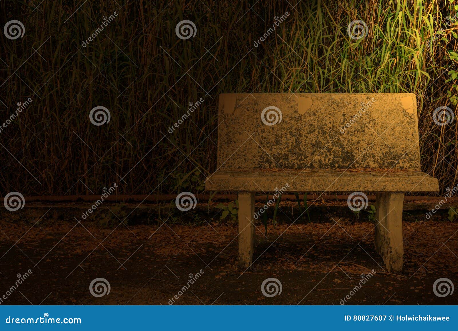 Light Shines on Old Stone Chair Stock Image - Image of green, pattern ...