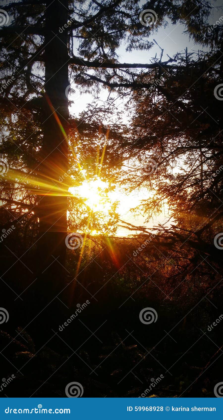 Light shines through stock photo. Image of bright, light - 59968928