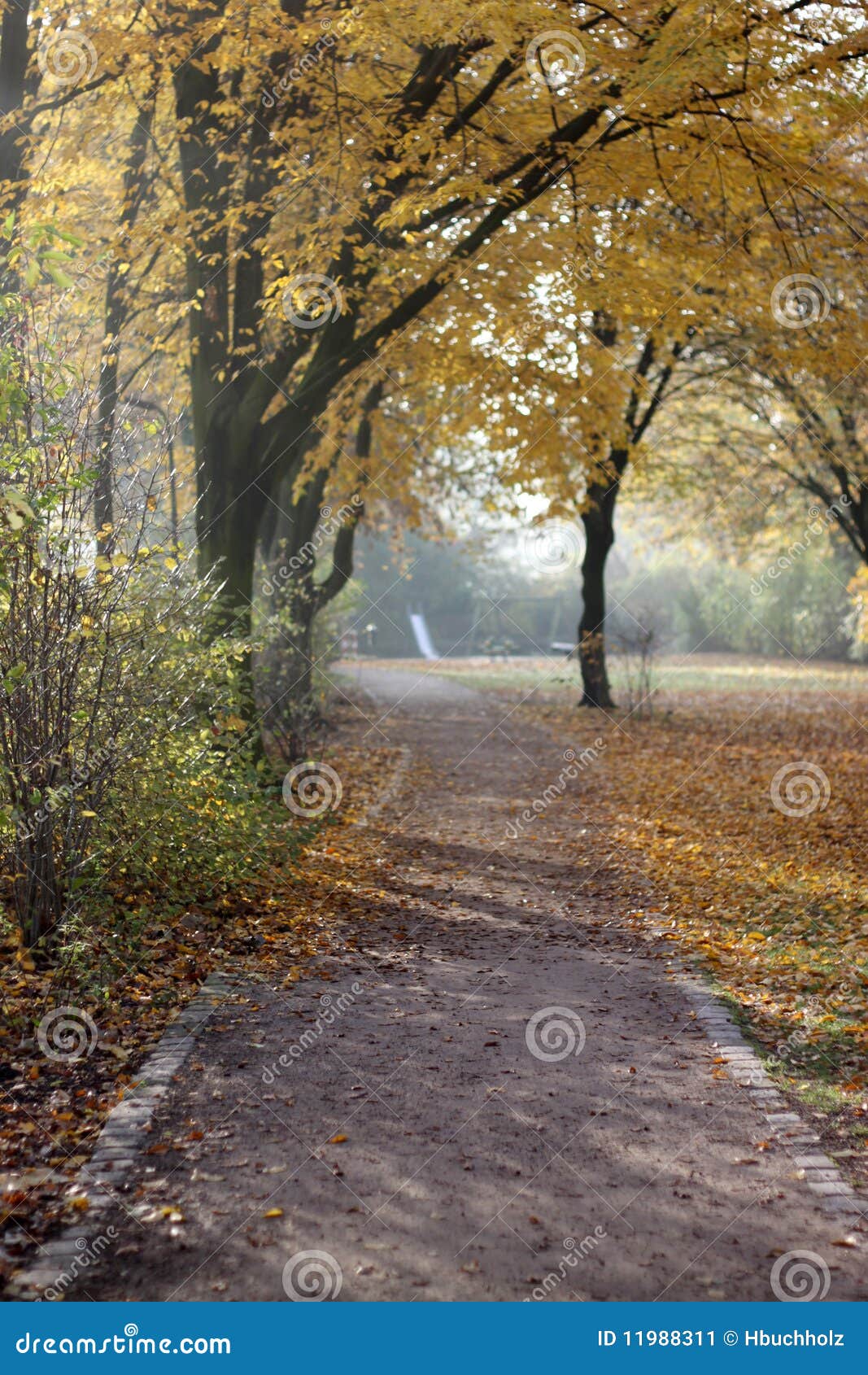 Light Shining on Foggy Forest Path Stock Image - Image of avenue, hike ...
