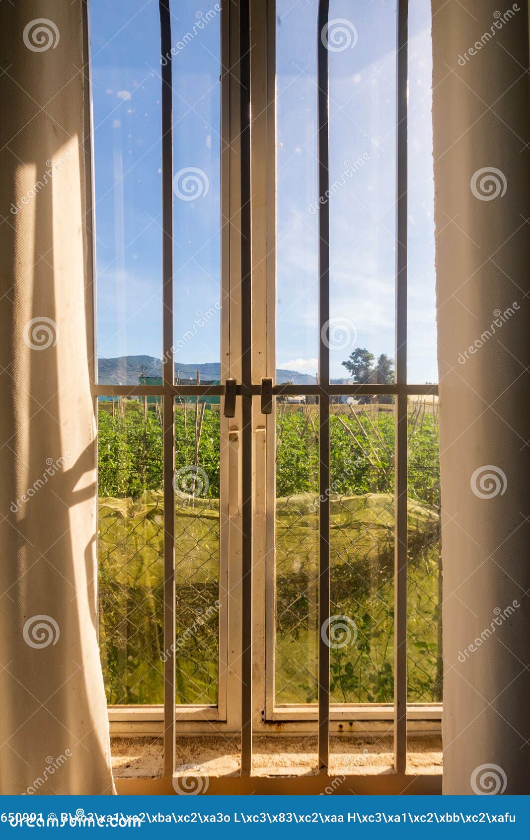 Light Shining in the Morning Window Stock Image - Image of window ...