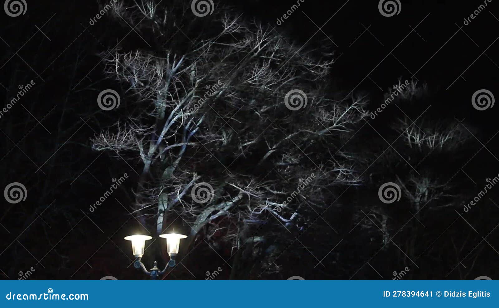 Light Show on the Trees in the Park during the Night Stock Video ...