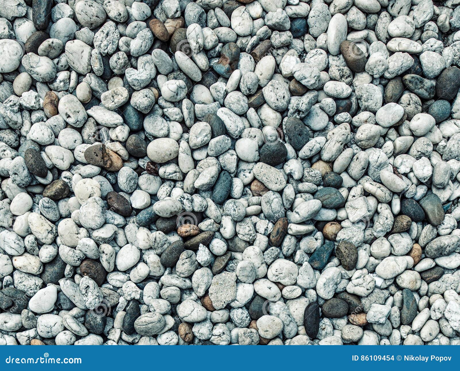 Light small pebbles. stock photo. Image of smooth, natural - 86109454