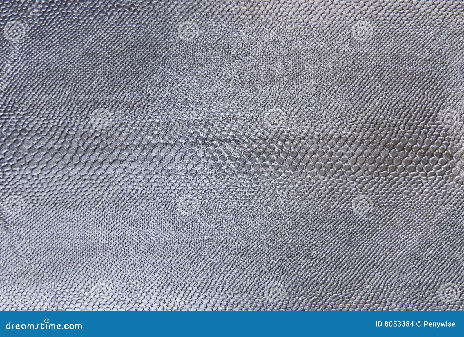 Light Snakeskin Texture stock photo. Image of silver, snake - 8053384