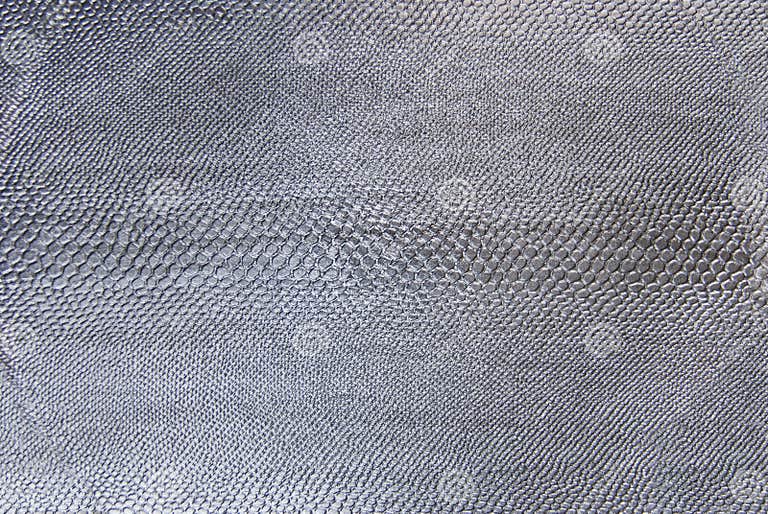 Light Snakeskin Texture stock photo. Image of silver, snake - 8053384