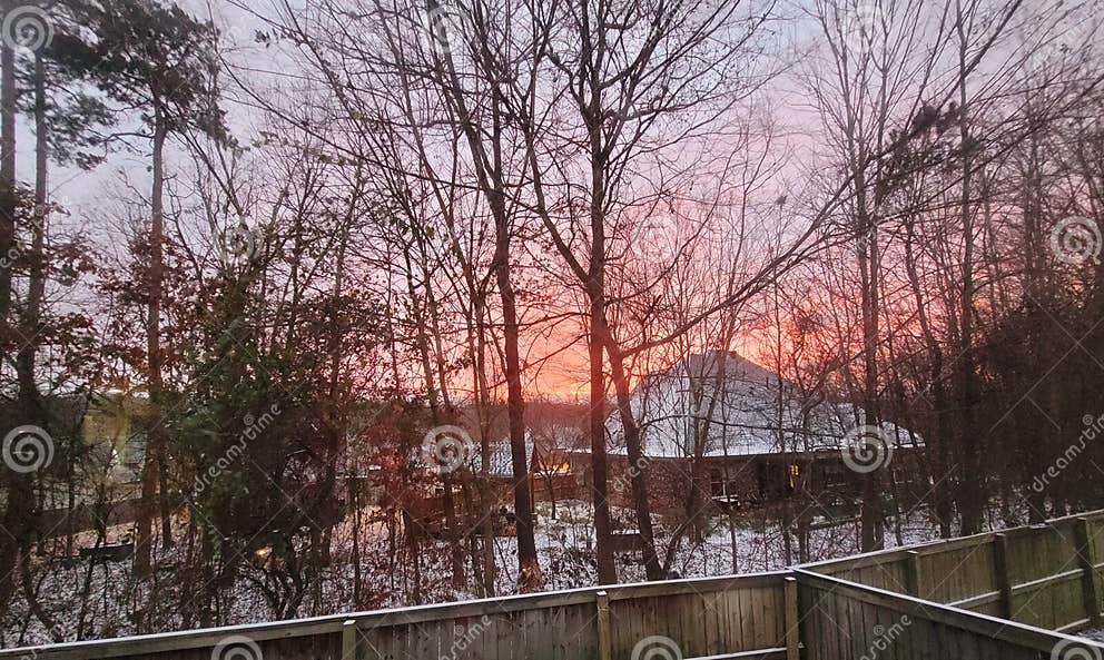 Light snow in fall stock image. Image of autumn, leaf - 292609983